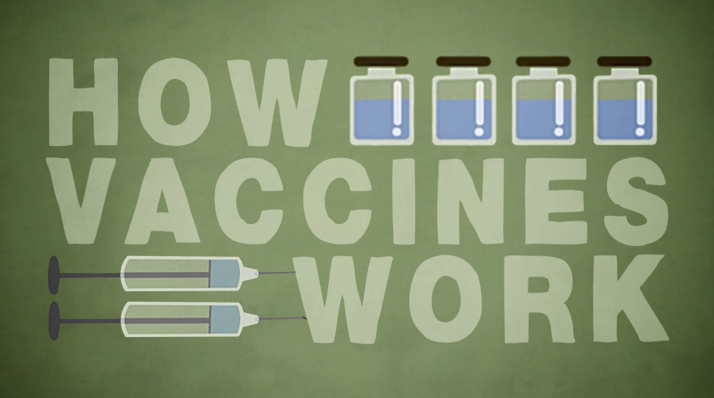 How Vaccines Work - Primary Medical Care Center for Seniors in Miami ...